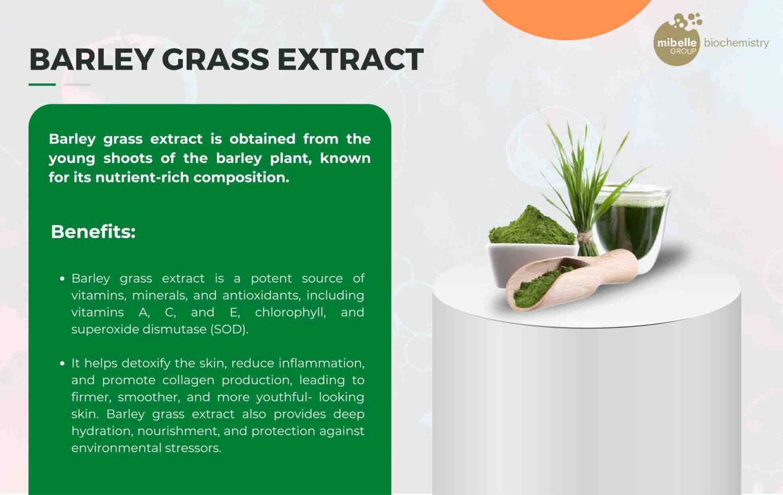 Cellular Therapy by Cure – Cell – Arogya Odisha